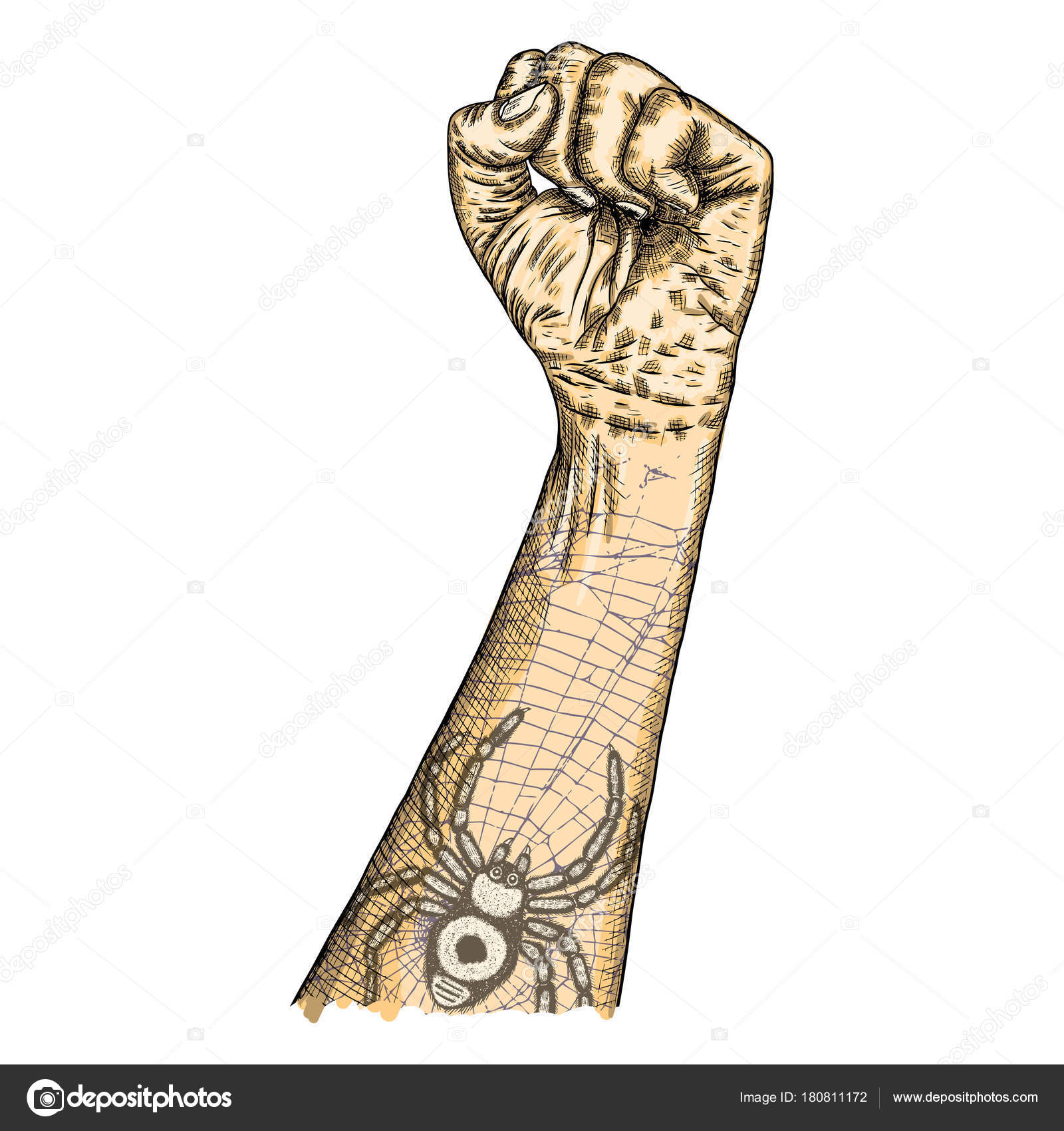 Human male hand Stock Vector Image by ©goldenshrimp #180811172