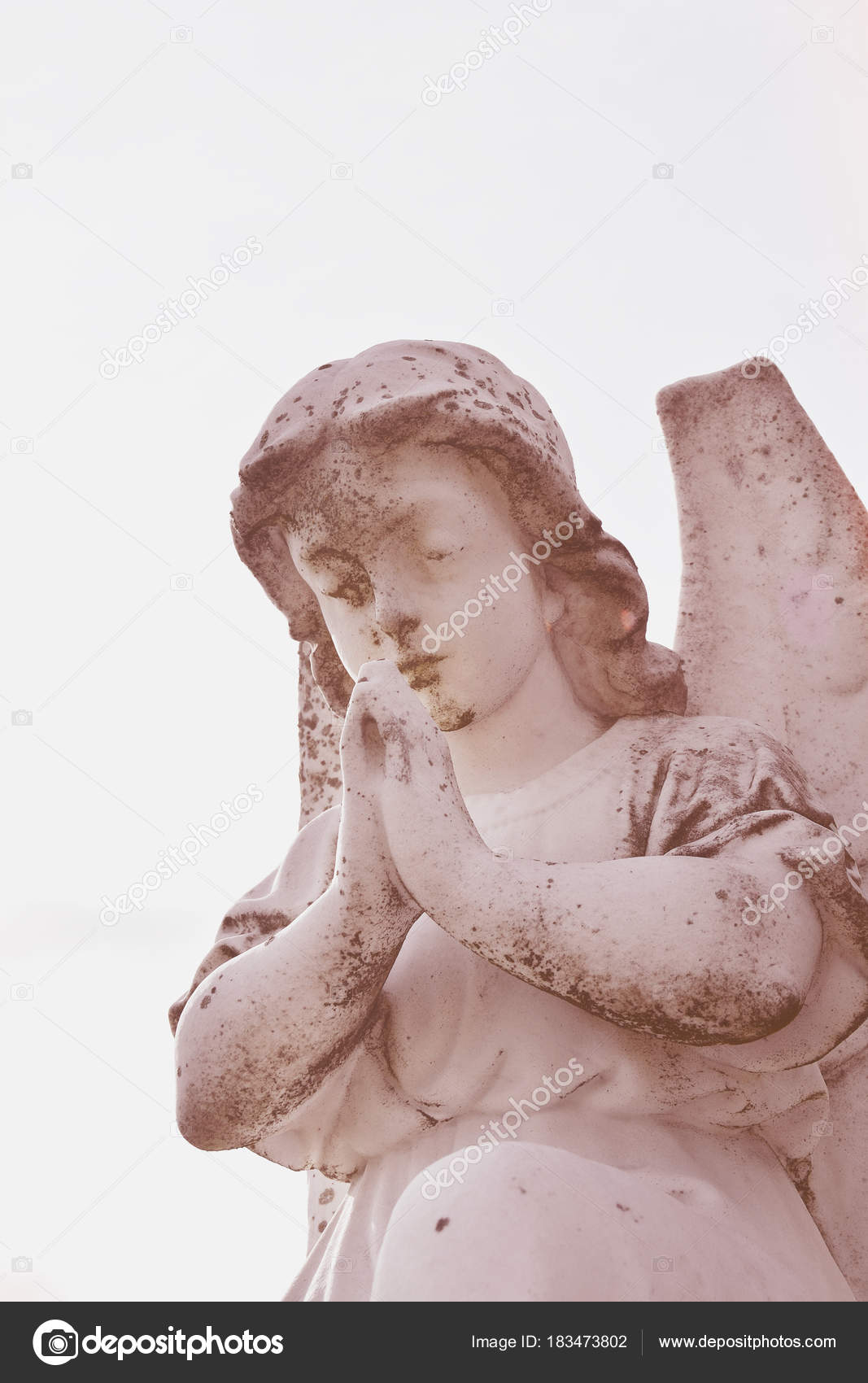 Beautiful face angel close up. Stock Photo by ©goldenshrimp 183473802