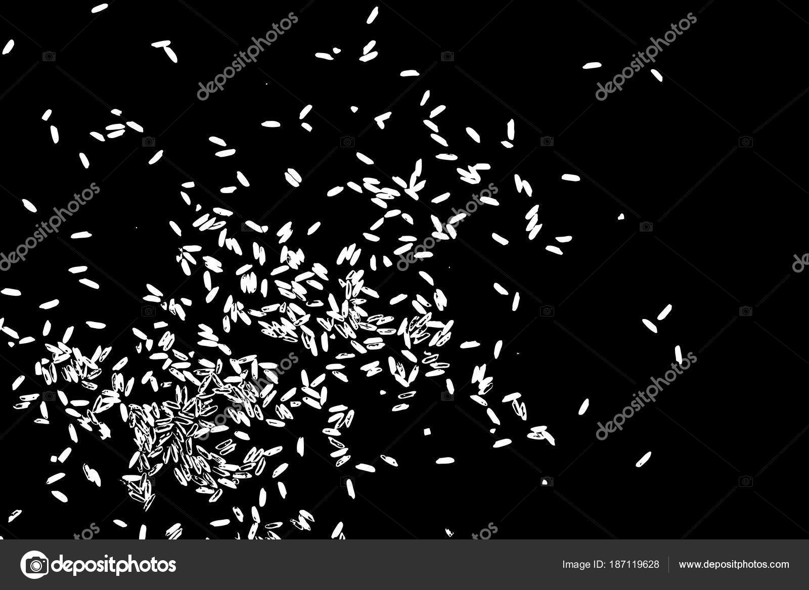 Background with grain of rice. Handmade illustration of rice org Stock ...