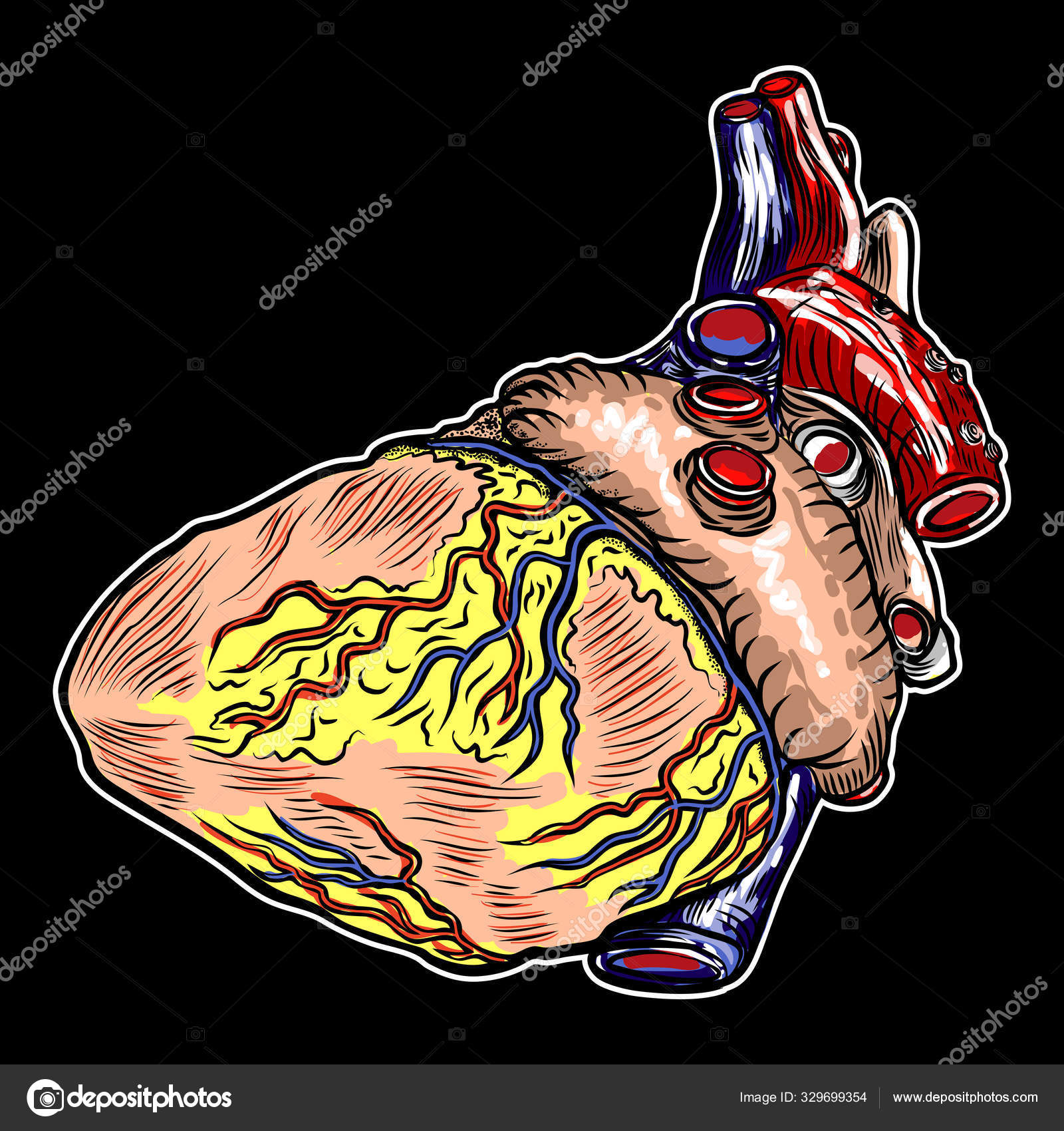 Drawing Human Heart Tattoo