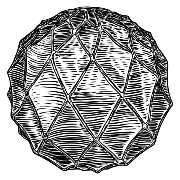 100,000 Cocoon Vector Images | Depositphotos