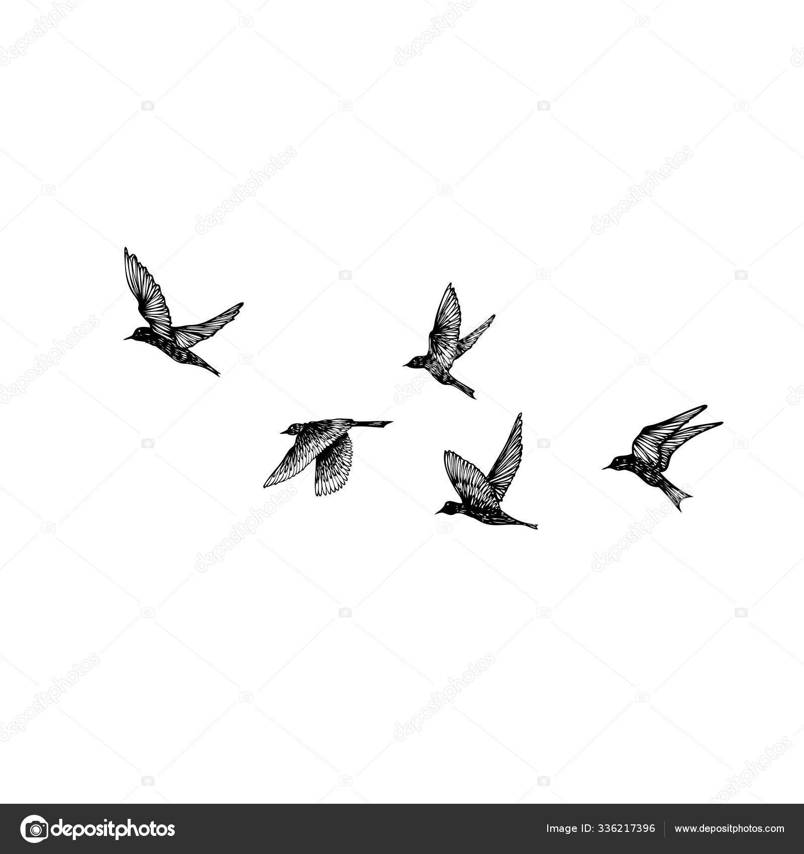 Flock Of Birds Drawing