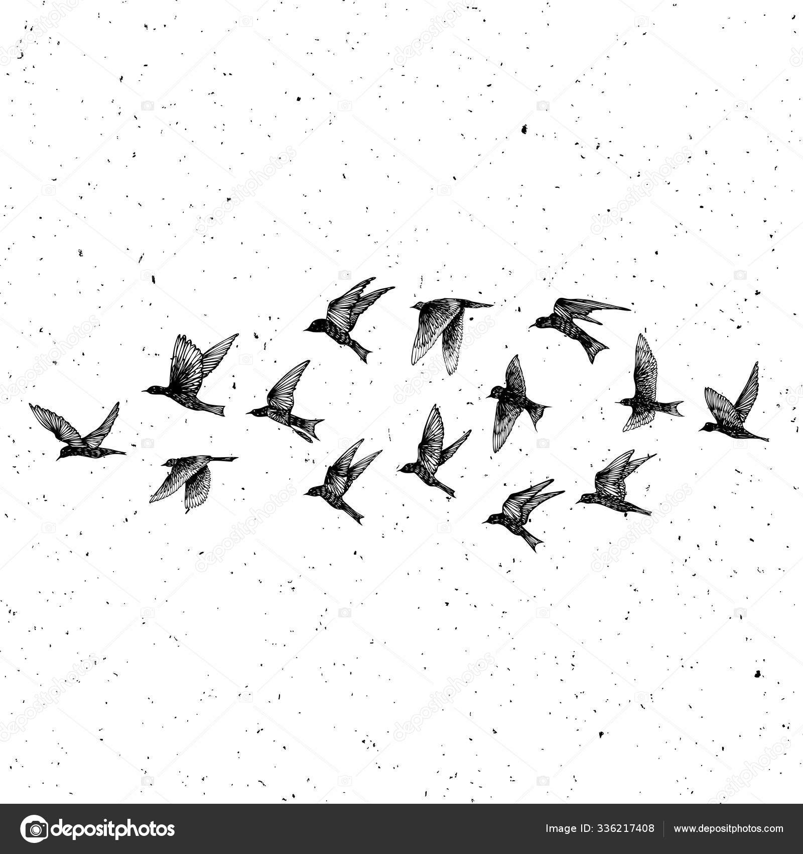 Set of black hand drawn strokes birds, flock. Drawing sketch. On ⬇ ...