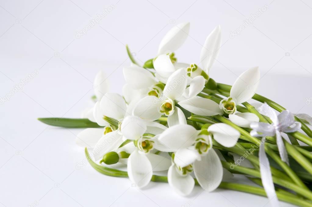 Snowdrops bouquet | Snowdrops bouquet on white background — Stock Photo ...