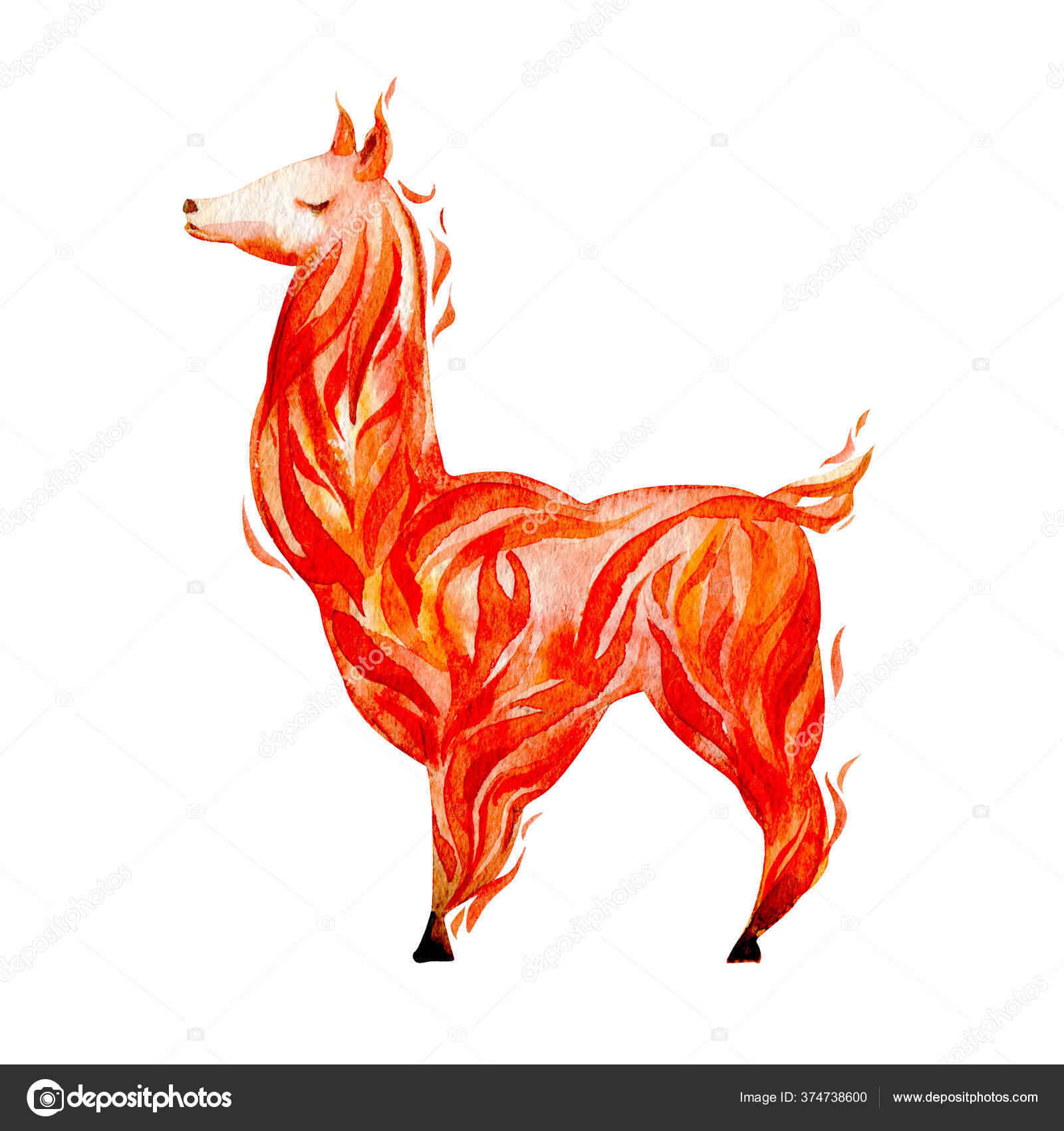 Watercolor Illustration Fire Llama — Stock Photo © tatianaka #374738600