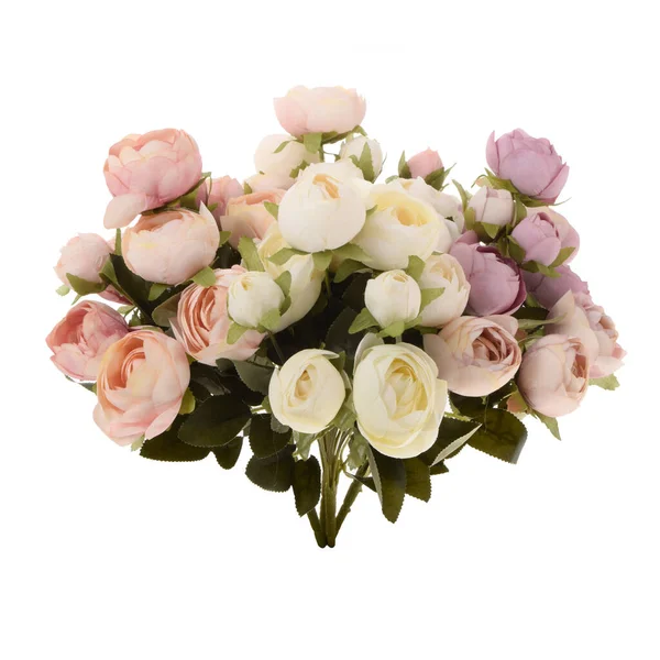 Ramo di vite fotos de stock, imágenes de Ramo di vite sin royalties ...