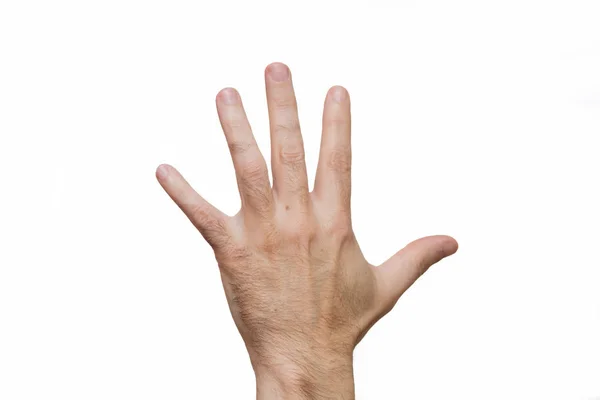 Two hands raised up — Stock Photo © Toberto #72621705