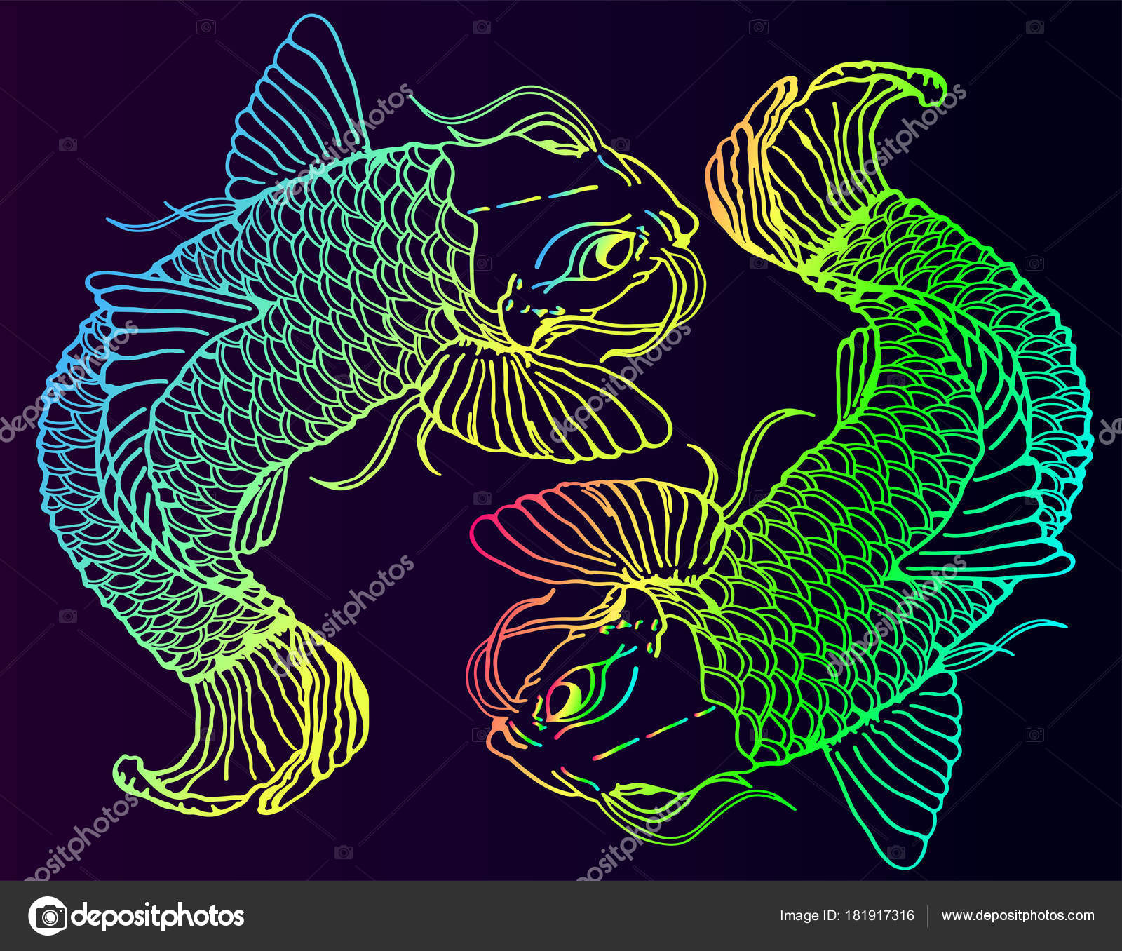 Meerval Tekening Japans 11 Ideeën Over Katvis | Dieren, Vissen