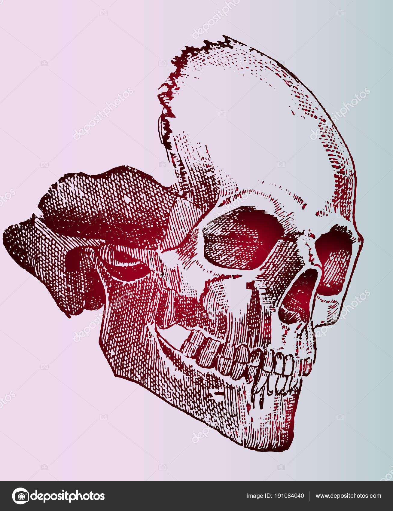 Red Detailed Sketch Skull Tattoo Beautiful Gradient Background Stock ...