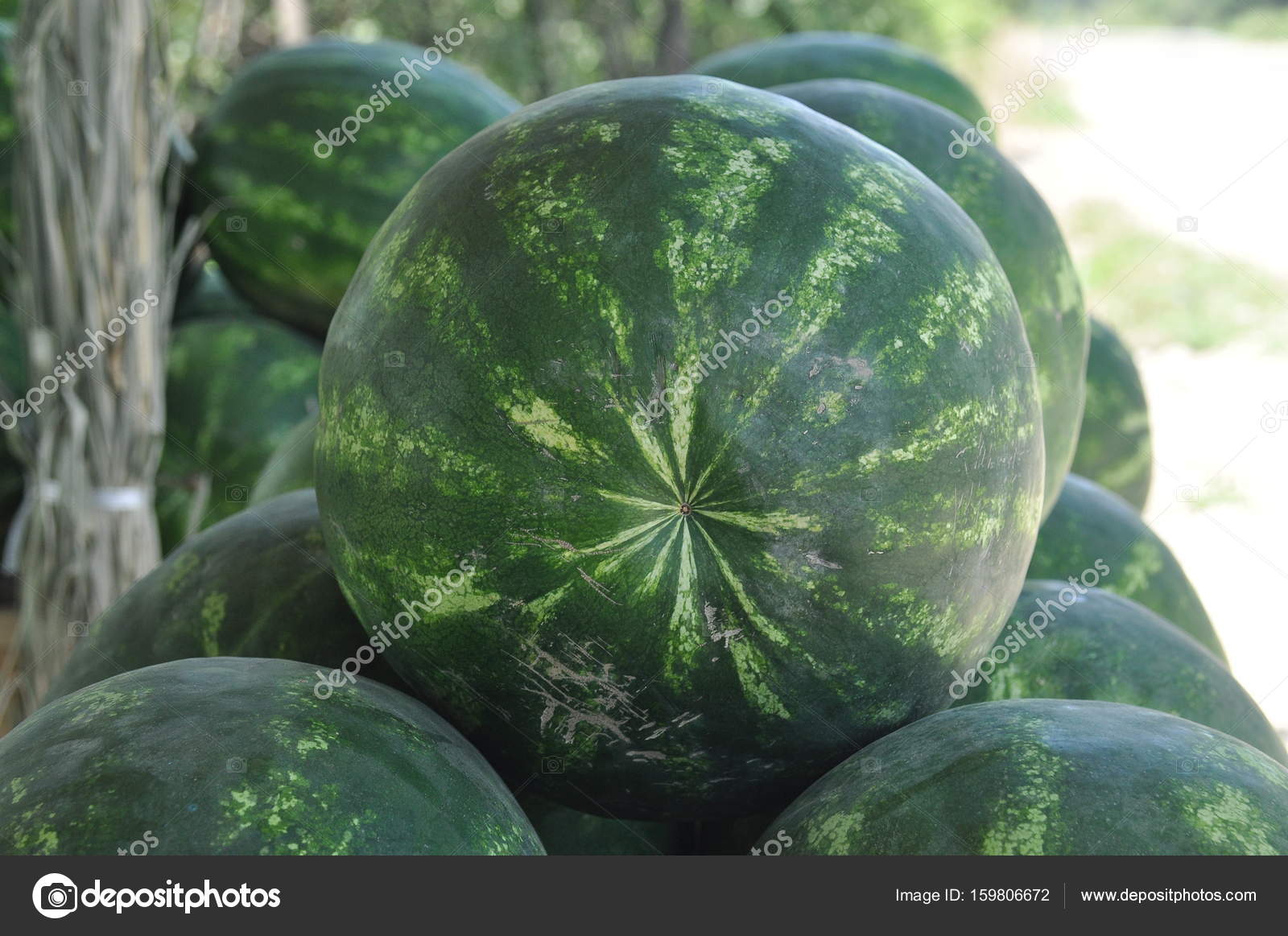 Ripe, juicy watermelons at a roadside stall — Stock Photo © Kozik ...
