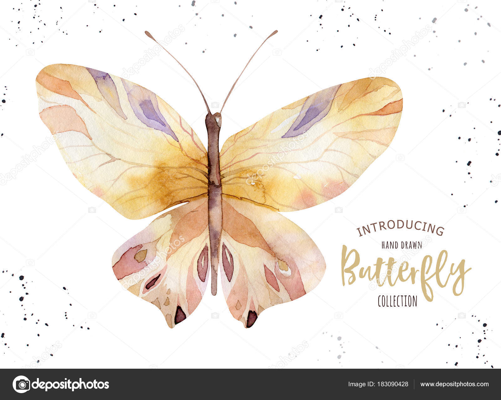 Set of watercolor boho butterfly. Vintage summer isolated spring art ...