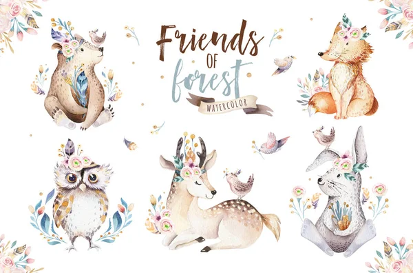 Cute Watercolor Bohemian Forest Animals Kindergarten ⬇ Stock Photo ...