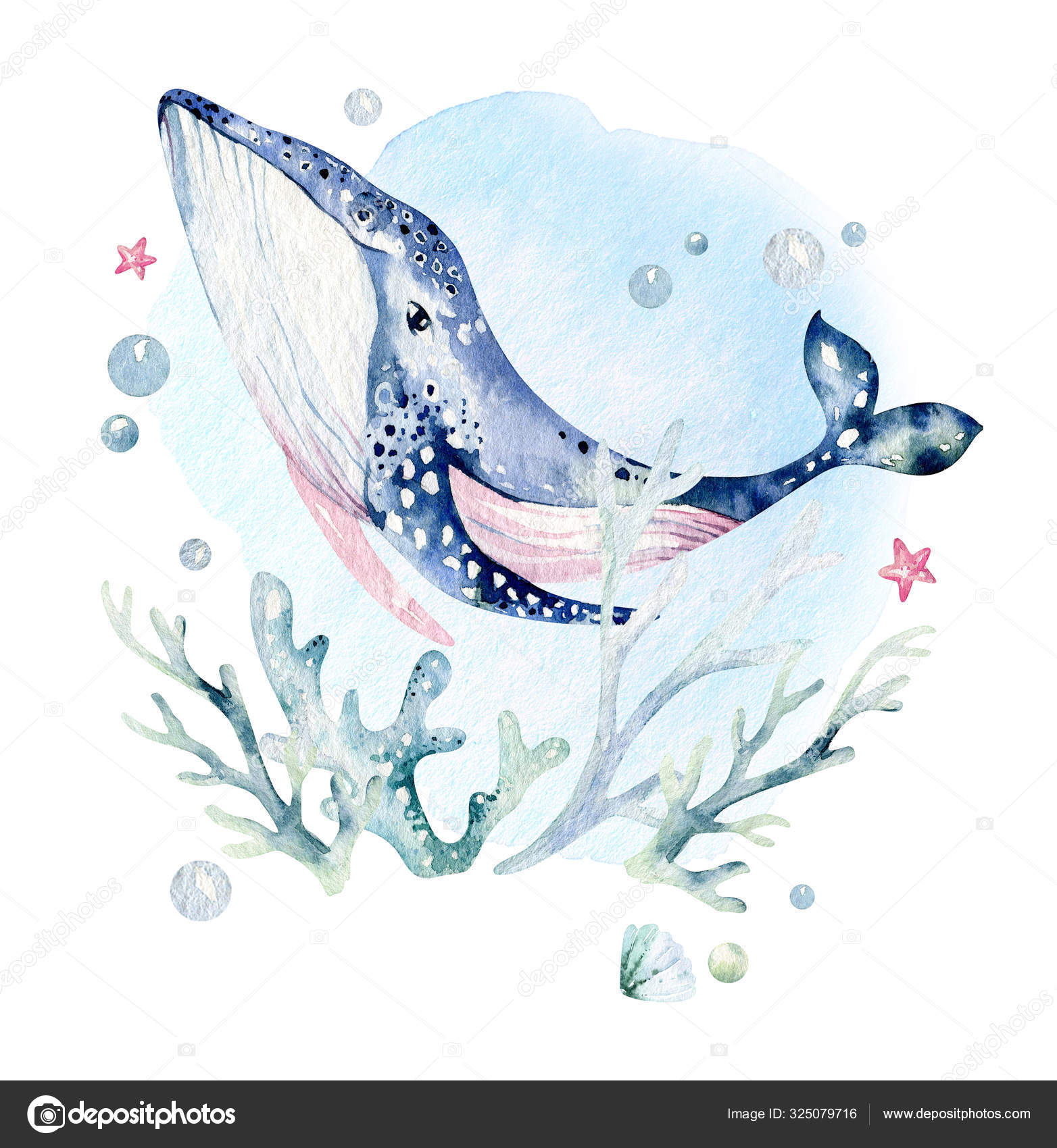 Conjunto Animais Marinhos Azul Aquarela Oceano Peixe Tartaruga Baleia ...