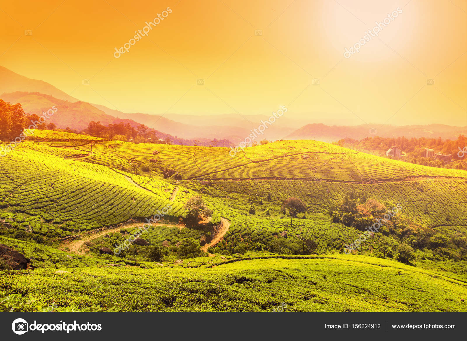 Tea plantations in Munnar, Kerala, India. — Stock Photo ...