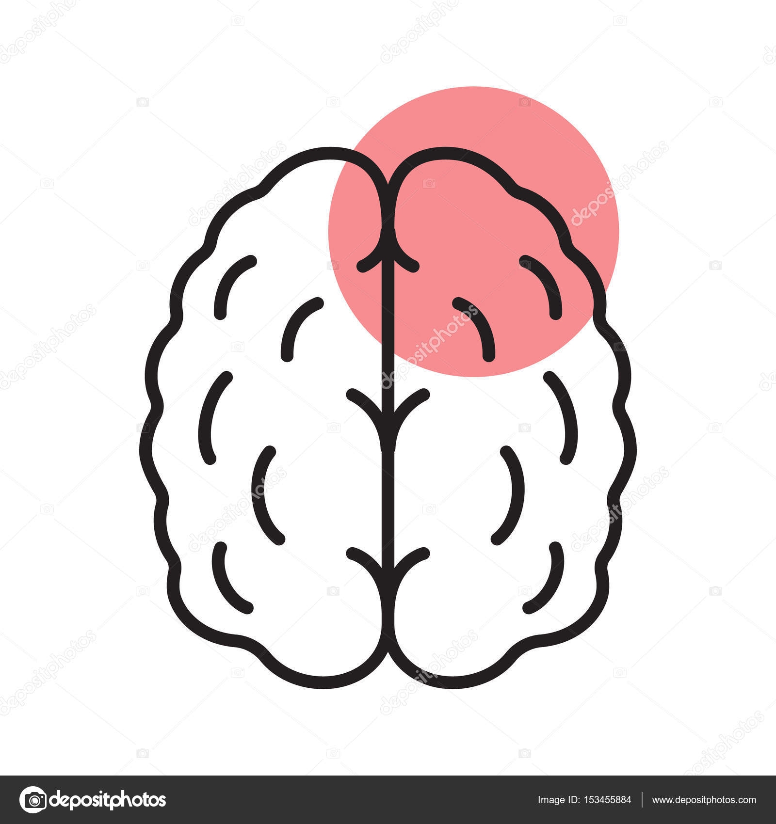 Icono lineal del trazo Vector de stock por ©bsd_studio 153455884