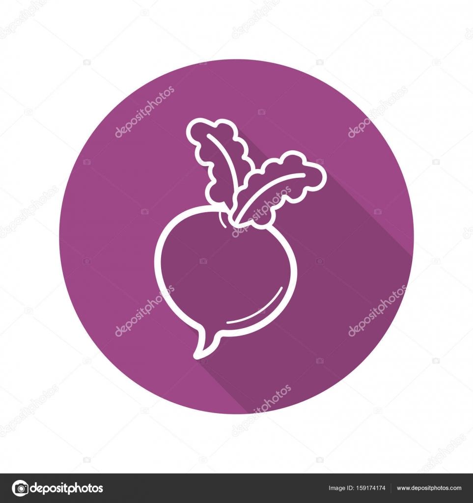 Beet flat icon Stock Vector by ©bsd_studio 159174174