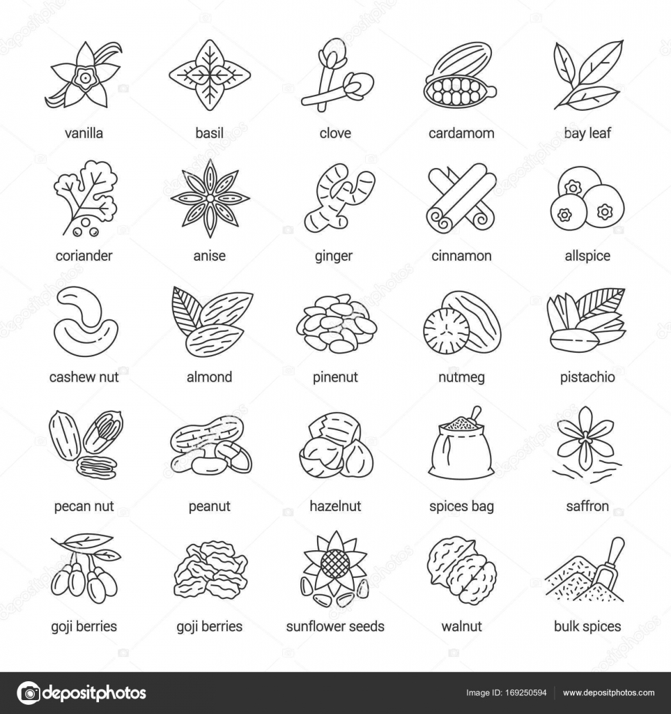 Spices linear icons set Stock Vector by ©bsd_studio 169250594