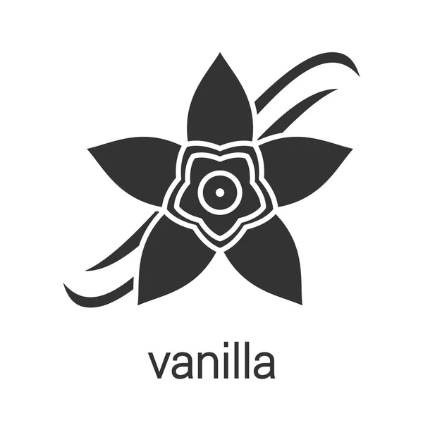 Vanilla flower Vector Art Stock Images | Depositphotos
