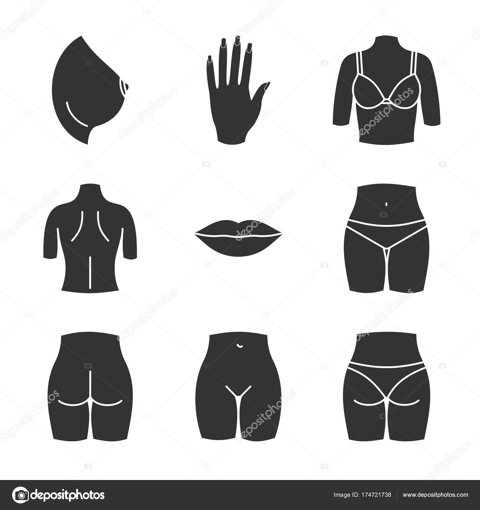 Ensemble d'icônes parties du corps féminin — Image vectorielle bsd ... Ensemble d'icônes parties du corps féminin — Image vectorielle bsd ...