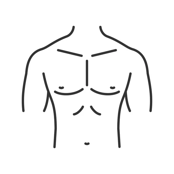 100,000 Chest outline Vector Images | Depositphotos