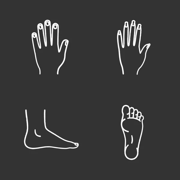 Feet icons Stock Photos, Royalty Free Feet icons Images | Depositphotos