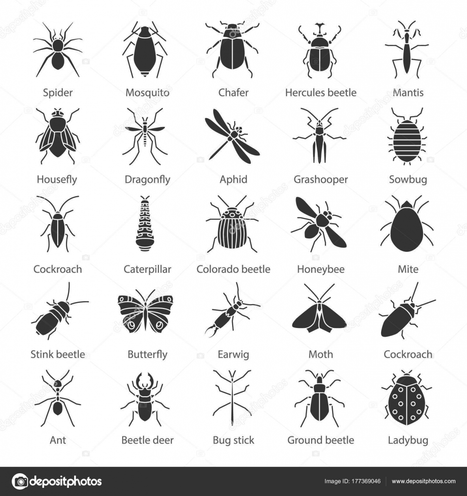 Scrapbooking Papercraft Paper, Party & Kids Ant Insect Bug #3 Creepy ...