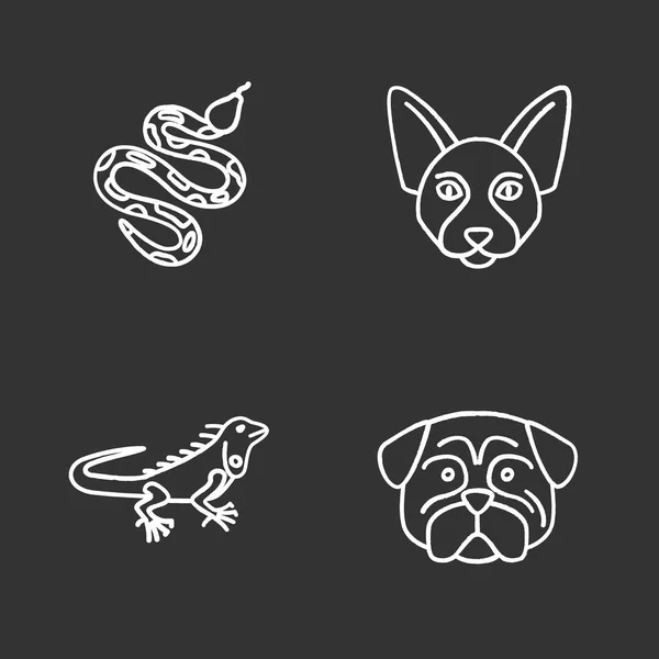 100,000 Dog icons Vector Images | Depositphotos