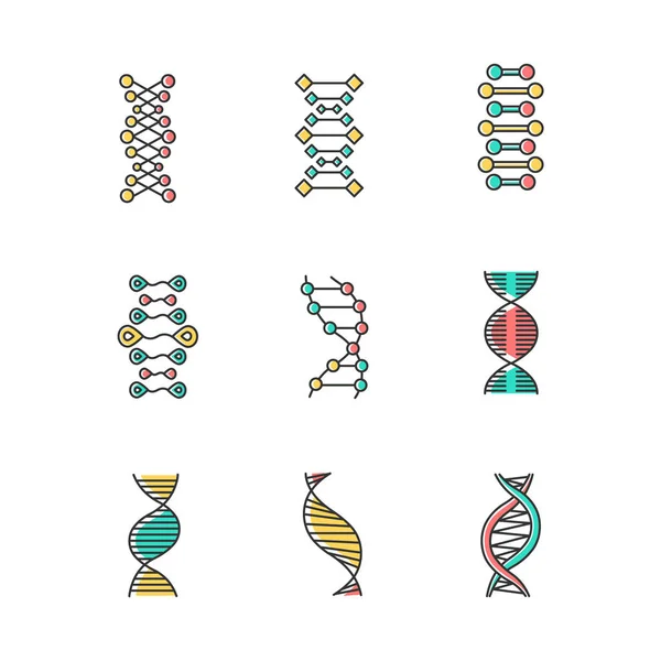 Double helix cartoon Vector Art Stock Images | Depositphotos
