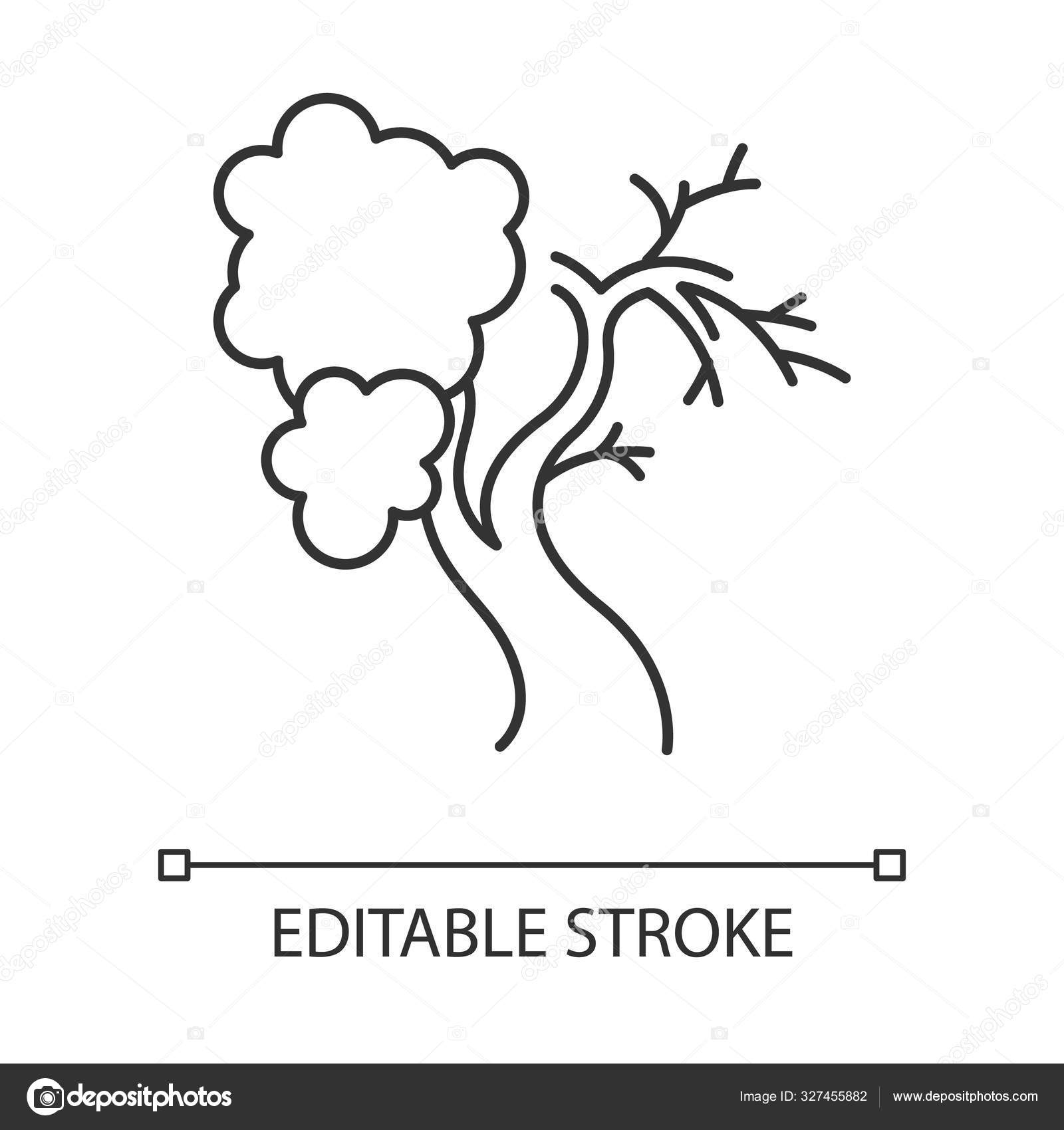 Half Dead Tree Drawing