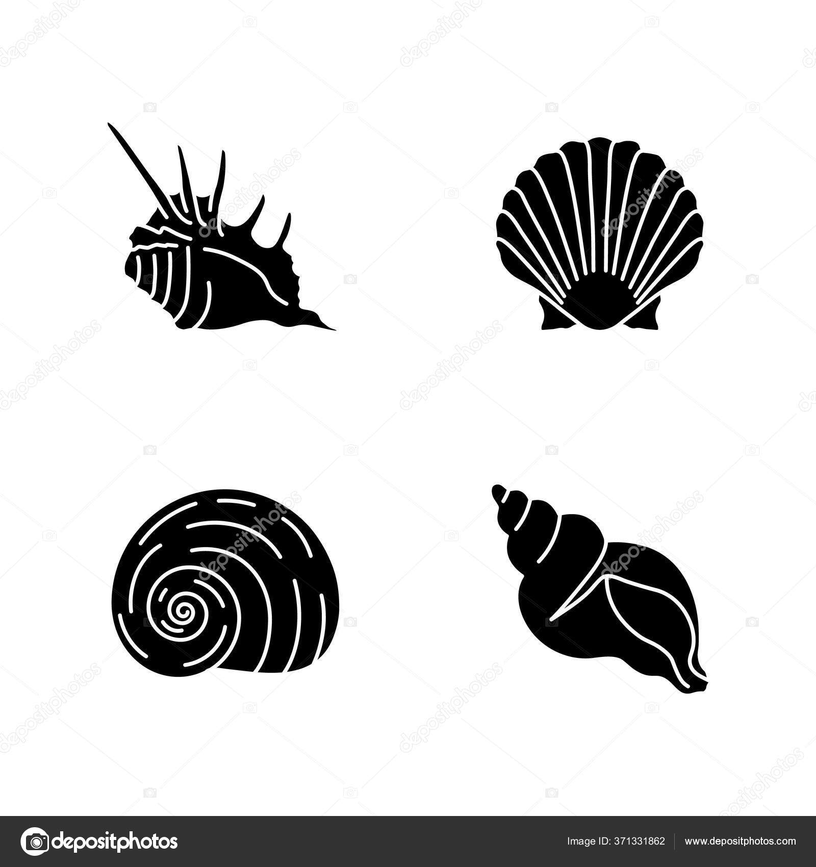Seashell Silhouette Vector