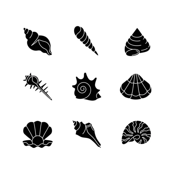 Seashell Silhouette Vector