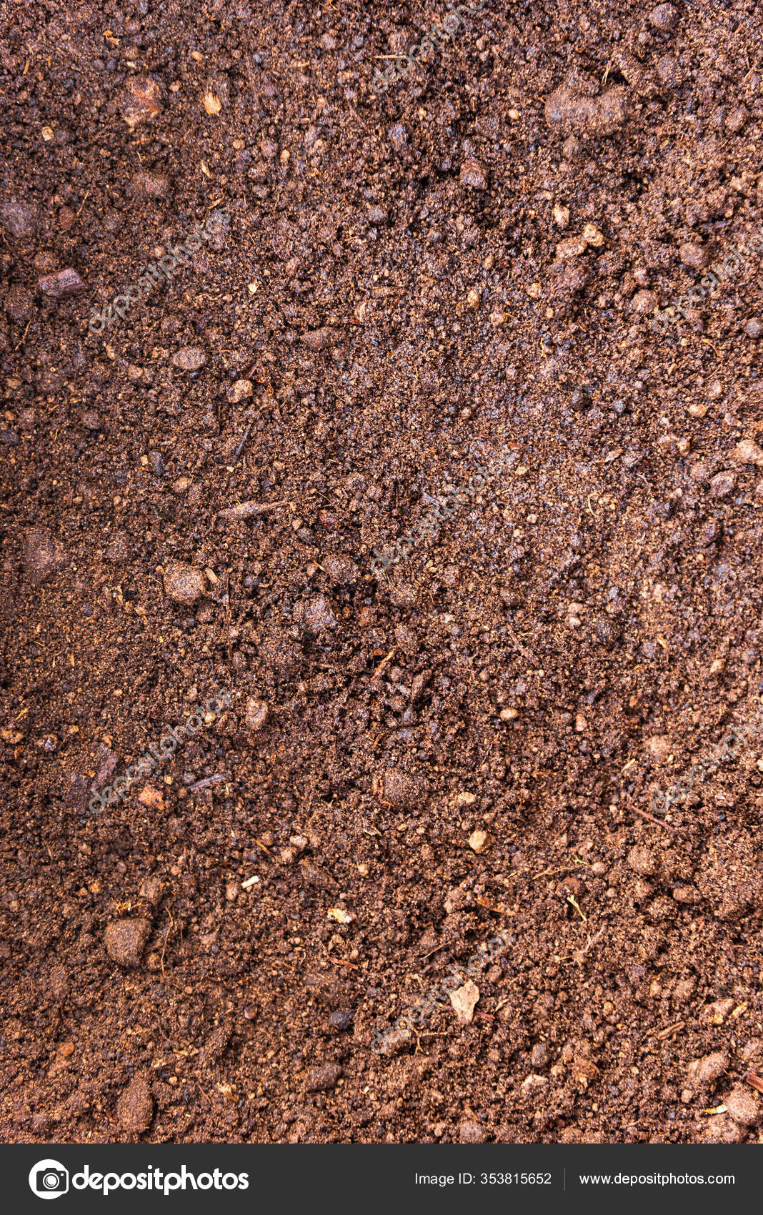 Light Brown Soil