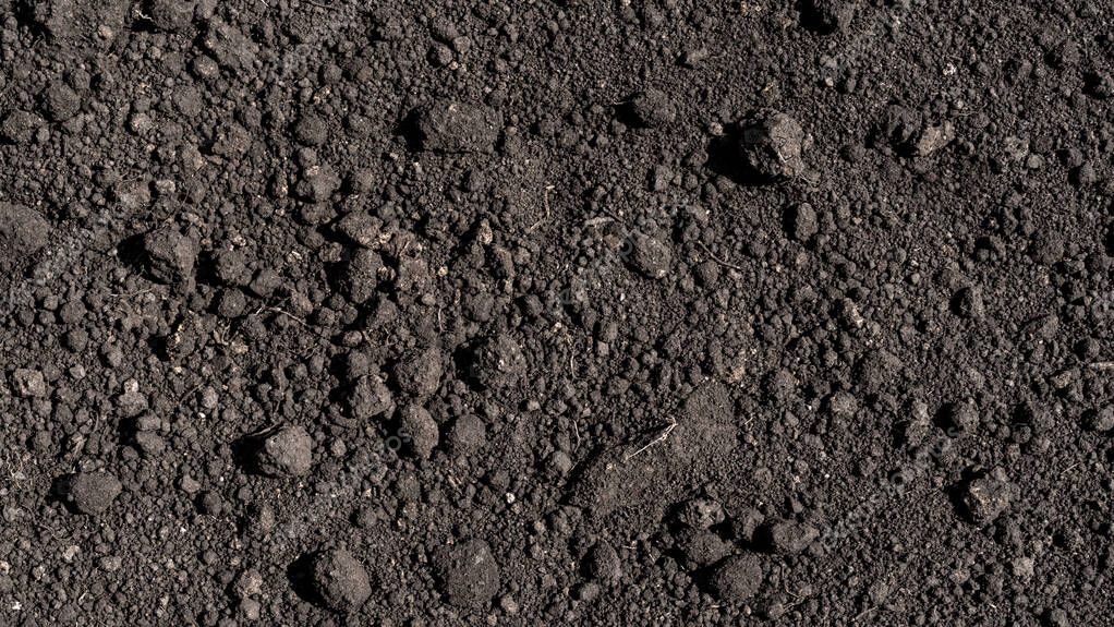 Tierra negra, suelo fértil natural ideal para la agricultura de cerca 2023