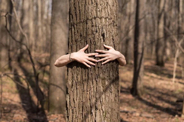 Human Hands Hug Wrap Tree Contact Man Nature Concept Ecology Stock