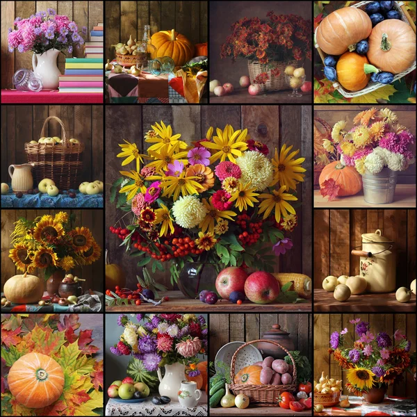 Collage from still lifes with autumn flowers and fruits. — Stock Photo ...