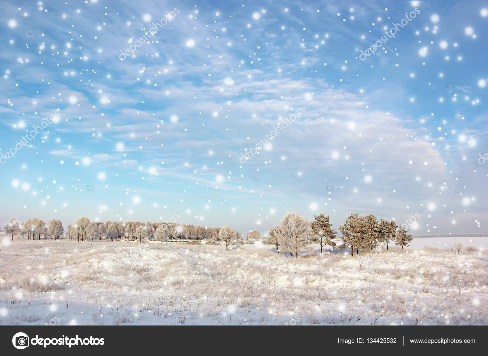 Winter landscape with trees and falling snow. — Stock Photo © BalaguR ...