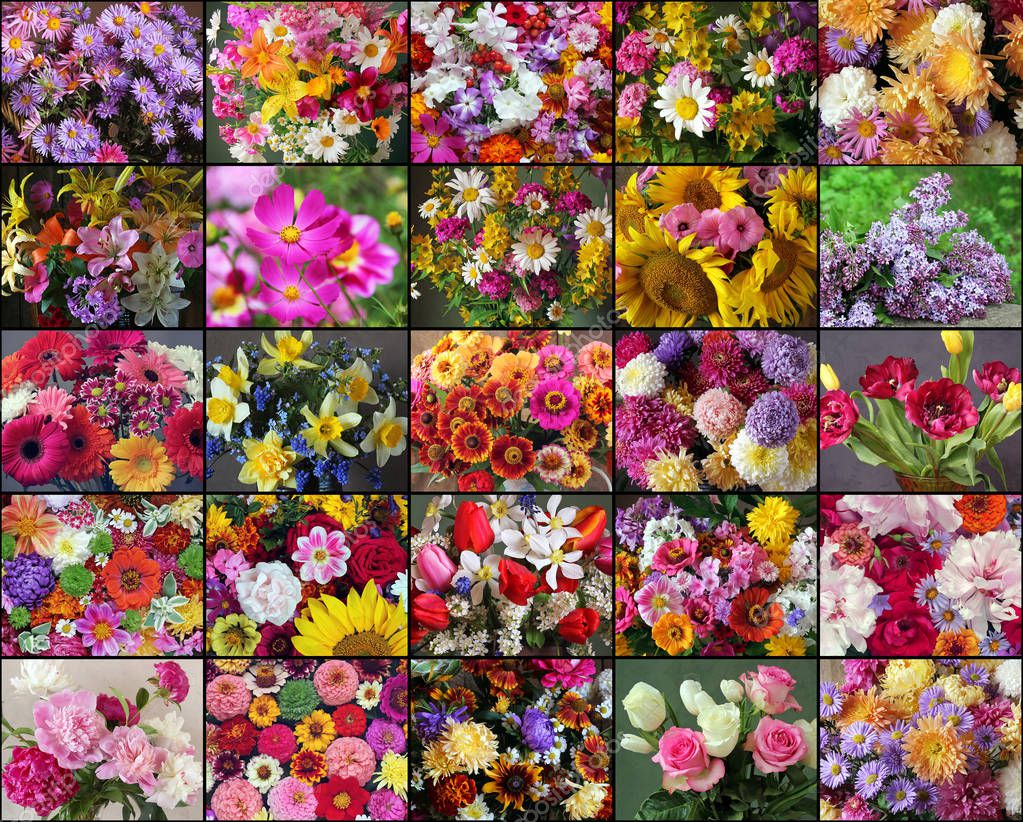 Imágenes: collage de flores | collage de flores de verano. Ramos de ...