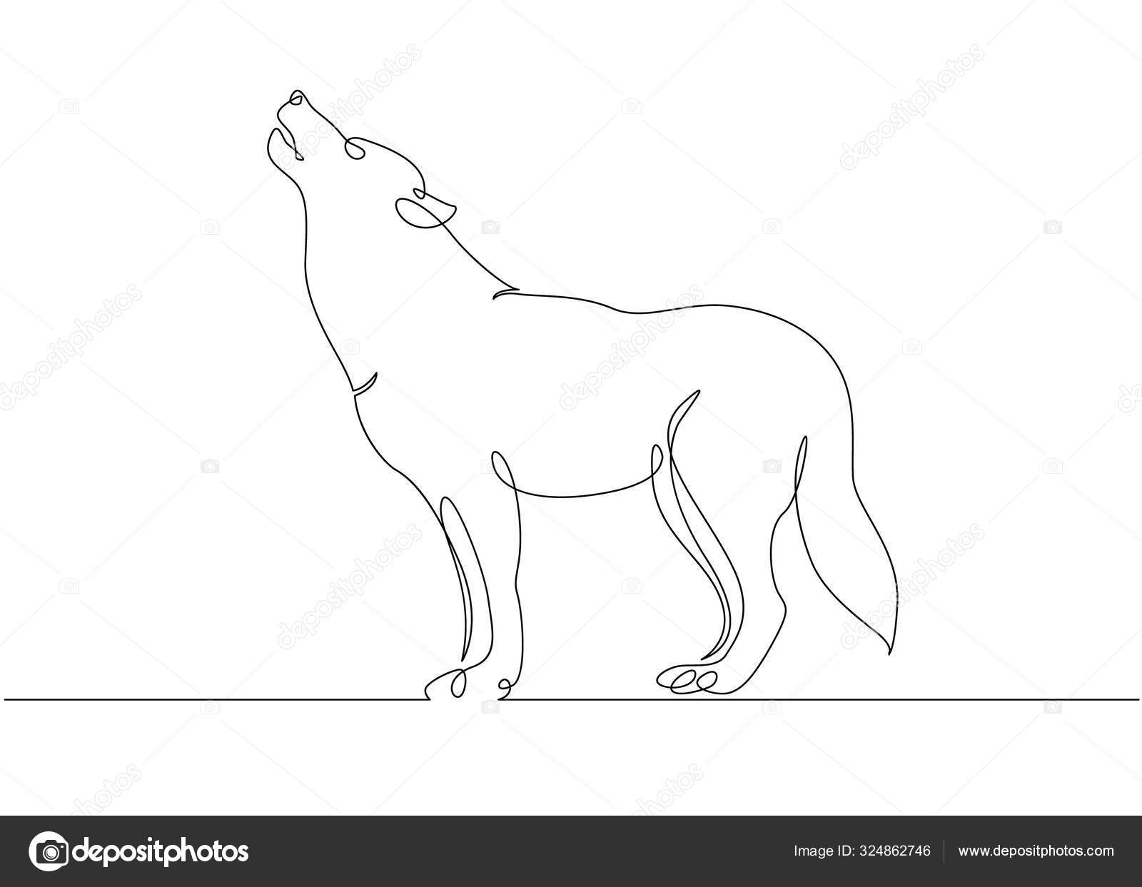 Continuous single drawn one line wild wolf Stock Illustration by ...