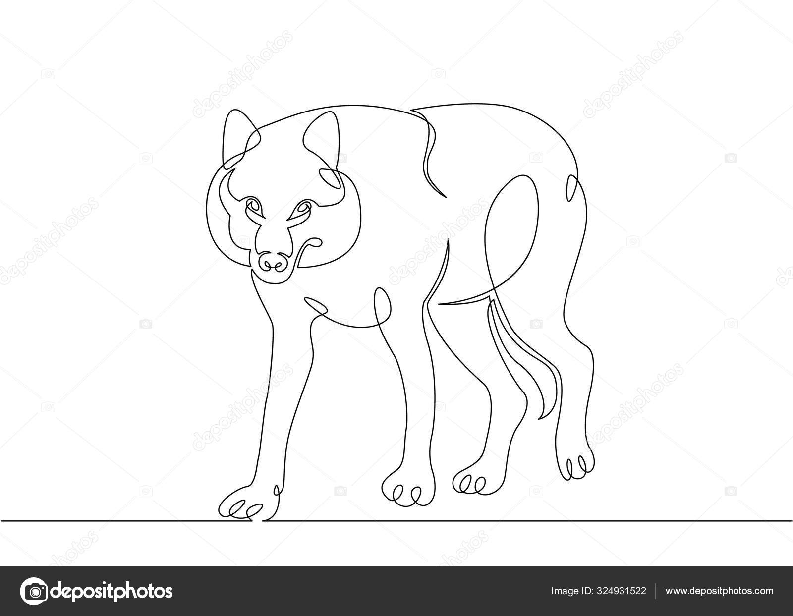 Continuous single drawn one line wild wolf Stock Illustration by ...