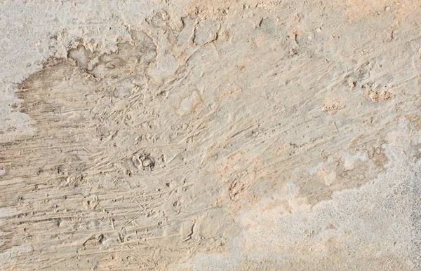 Soft concrete texture — Stock Photo © kues #147425607