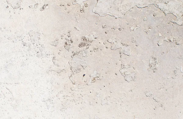 Soft concrete texture — Stock Photo © kues #147431901