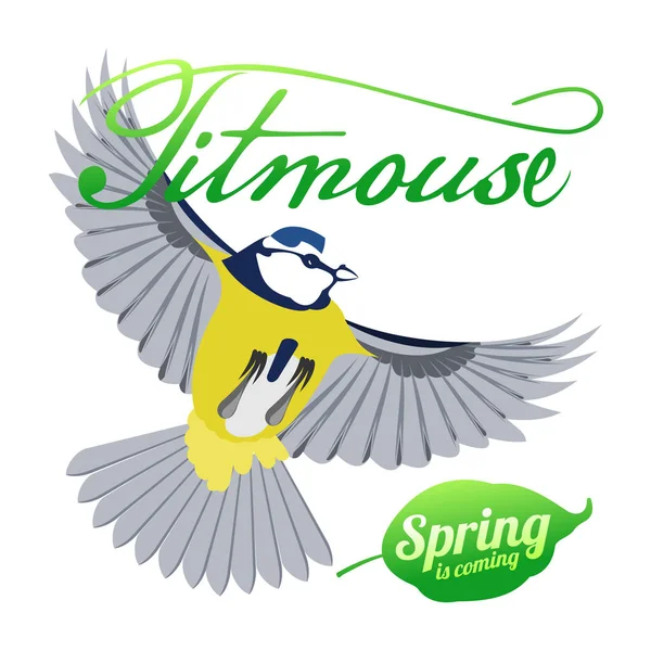 Bird titmouse vector logo Stock Vector Image by ©samorodinov #138680340