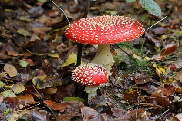 Danger Stock Photos, Royalty Free Danger Images | Depositphotos