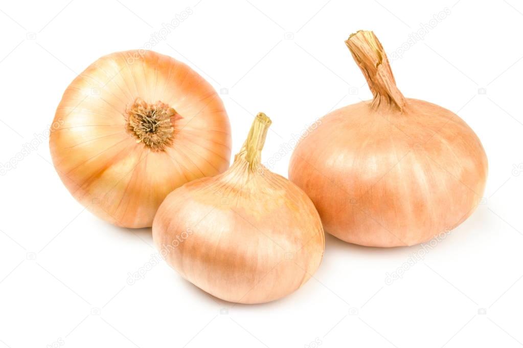 Bombillas de cebolla fresca aisladas sobre un corte de fondo blanco 2022