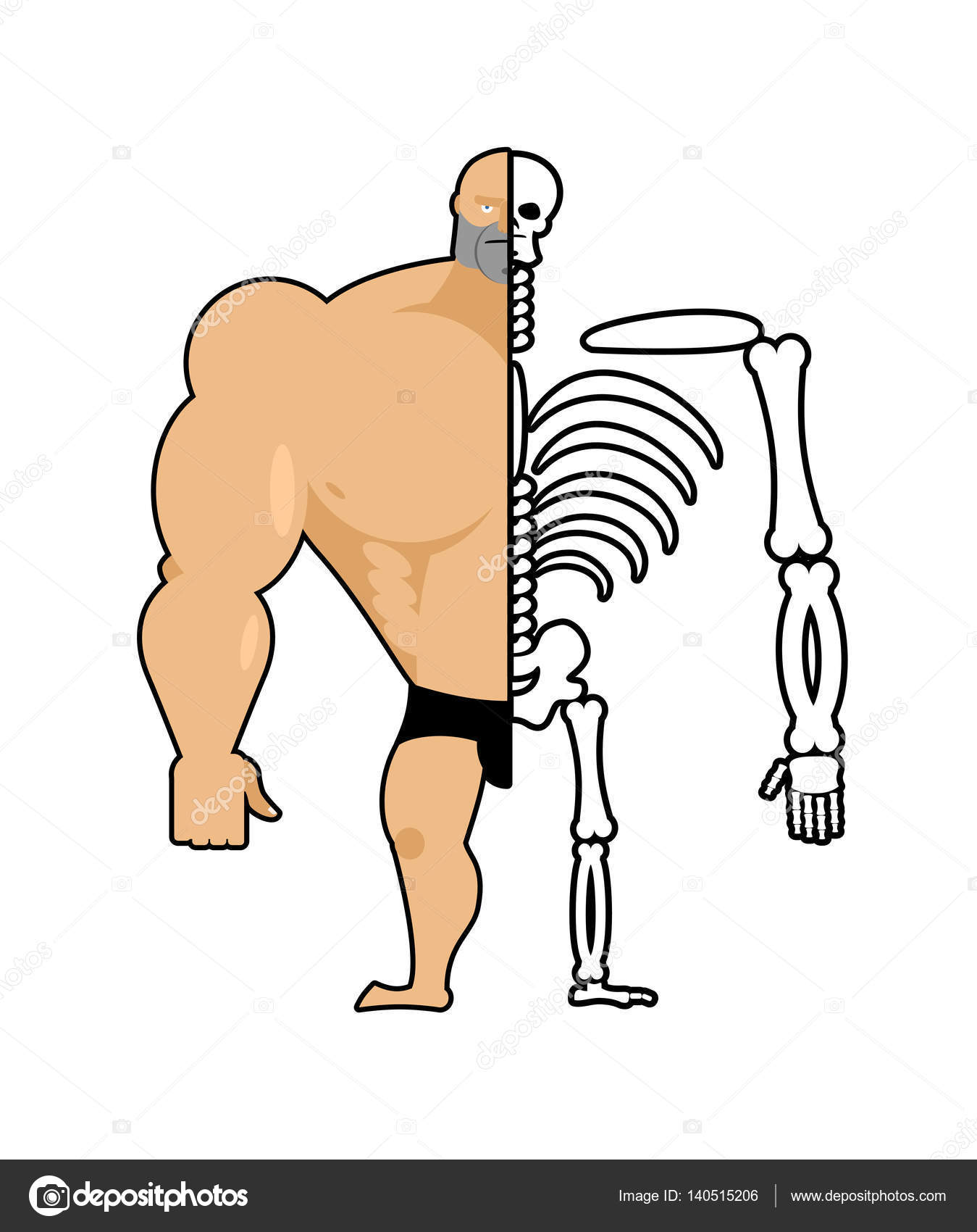 Half Skeleton Half Muscle Hoodie at Linda Siddiqui blog