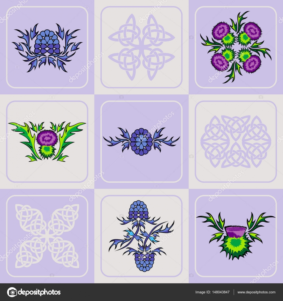 Vector set of a thistle flowers and Celtic knots Stock Vector Image by ...