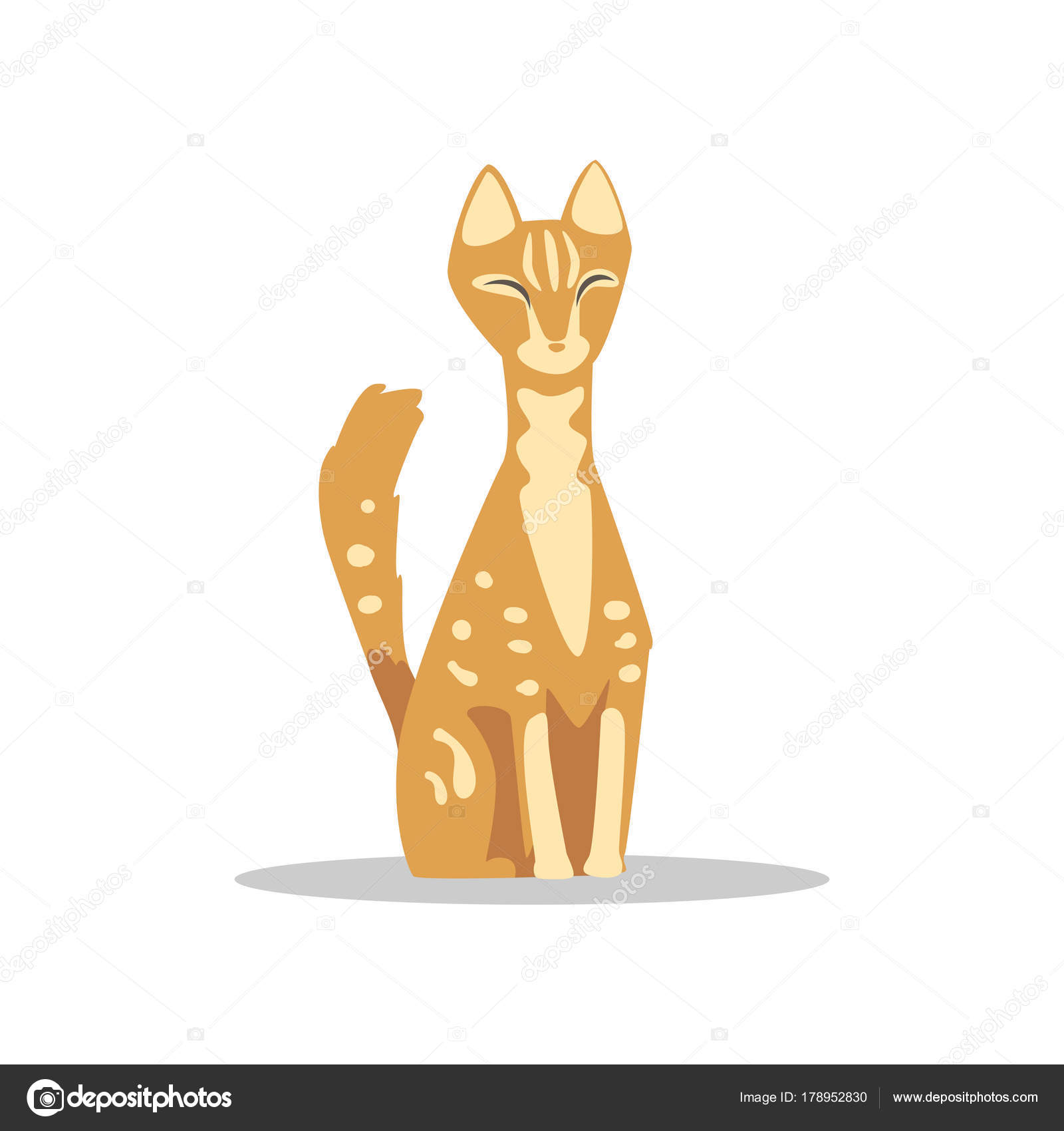 Image vectorielle Chat roux à poils courts avec des taches claires sur ...