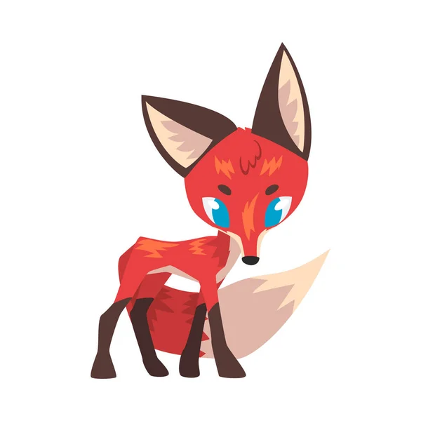 Personagem Bonito Fox Com Bushy Brush Tail E Conjunto De Vetores