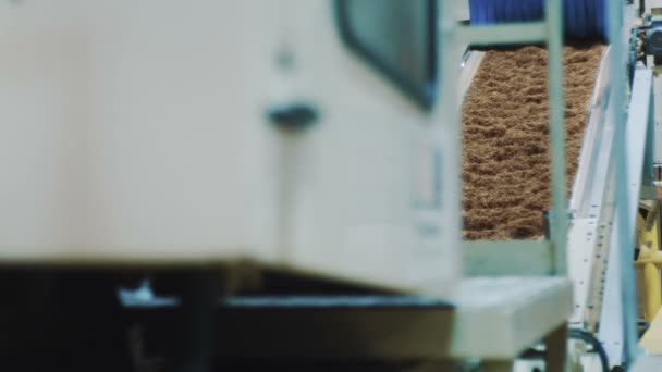 Tobacco drying process, cigarette manufacturing — Stock Video ... Tobacco drying process, cigarette manufacturing — Stock Video ...