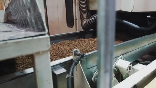 Tobacco drying process, cigarette manufacturing — Stock Video ... Tobacco drying process, cigarette manufacturing — Stock Video ...